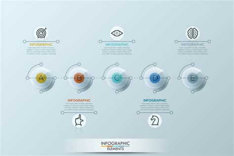 company infographic overview design template vector image