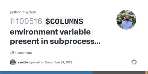 `columns` Environment Variable Present In Subprocess Only When `env