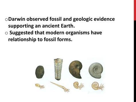 Darwin Vs Lamarck Ppt Download