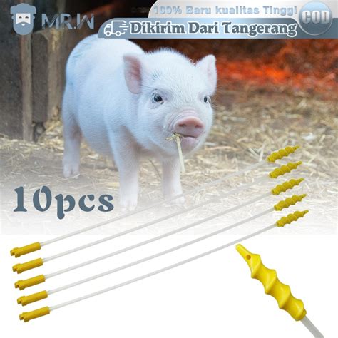 Jual 10pcs Kateter Babi Foam Alat Ib Babi Kateter Babi Spiral Catheter