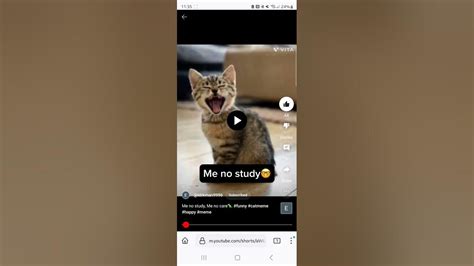 Youtube Algorithm Sucks Shorts Youtube