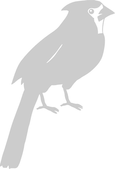 Cardnial 36643233 Vector Art At Vecteezy