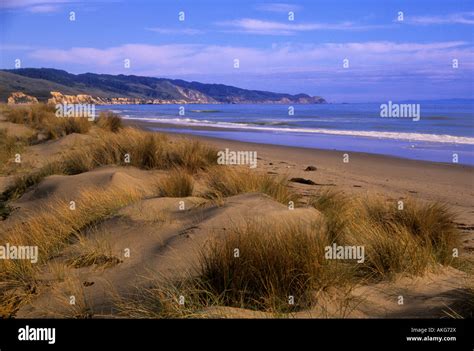 Limantour Beach In Point Reyes National Seashore California Usa Stock