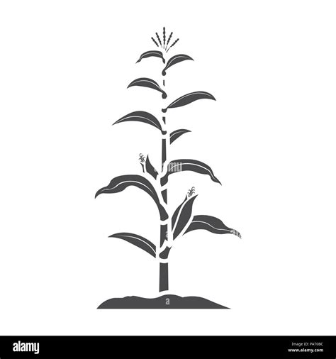 Nutrion Stock Vector Images Alamy