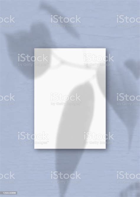 파란색 벽 배경에 흰색 질감a4 용지의 수직 시트 식물 그림자가 있는 모형 오버레이 이국적인 식물에서 그림자를 투사하는 자연 채광 0명에 대한 스톡 벡터 아트 및 기타