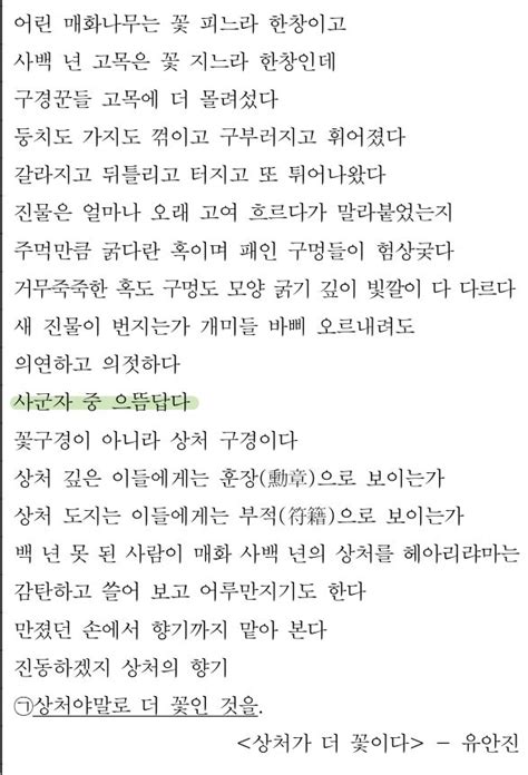 중3국어 상처가 더 꽃이다 지식in
