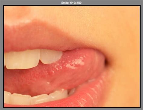 An Awesome AngularJS Image Cropping Tool NgImgForce Angular Script