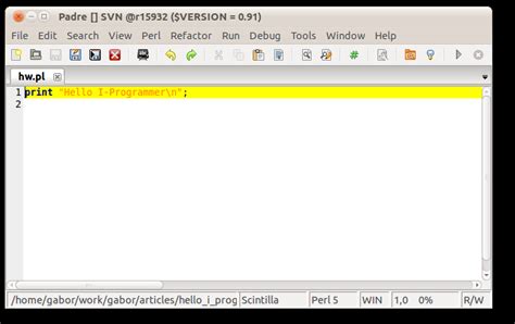 Perl Says Hello I Programmer