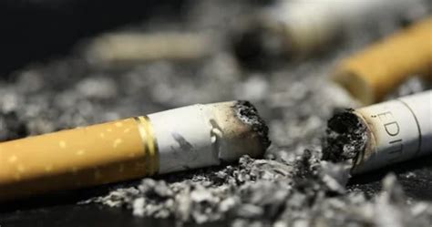 Cigarette Butts On The Pavement Stock Video Pond