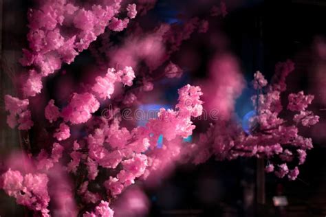 Pink Unique Background Programming Php On Laptop Computer Screen