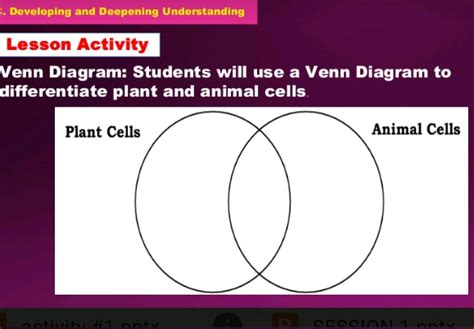 Developing And Deepening Understanding Lesson StudyX