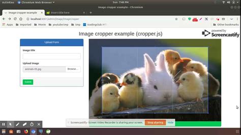 Upload And Crop Image Using Cropperjs And Croppiejs Spring Boot