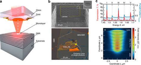 Monolayer Based Single Photon Source In A Liquid Helium Free Open Cavity Featuring 65