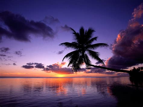 Moorea Beach Wallpapers Wallpaper Cave