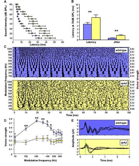 Figure 2 From Decreased Temporal Precision Of Neuronal Signaling As A