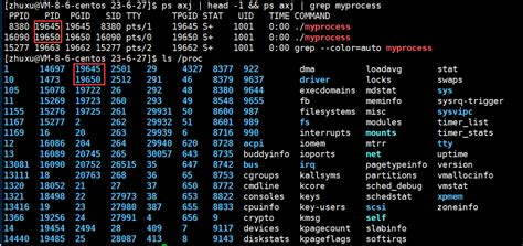 【linux从入门到放弃】进程概念、查看进程、创建进程linux运维从入门到放弃 Csdn博客