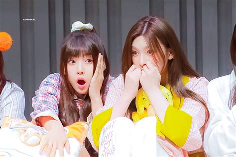 엔믹스 쇼케이스 투어 개혜자네 연예인잡담 에펨코리아