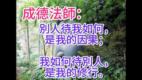成德法師：【別人待我如何，是我的因果；我如何待別人，是我的修行。 Youtube