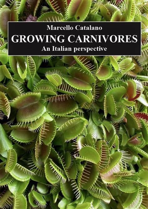 Nepenthes Veitchii
