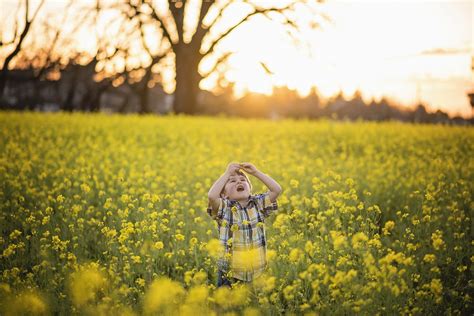 Flower Yellow Mustard Free Photo On Pixabay