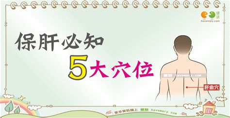 保肝5大穴位｜上班族 中醫篇5