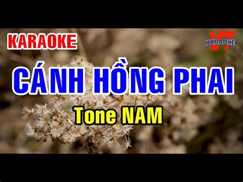 Karaoke CÁNH HỒNG PHAI Tone NAM Trấn Thành YouTube