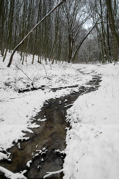 Natuurlijk Mooi Landschap Met Beekje Gratis Foto