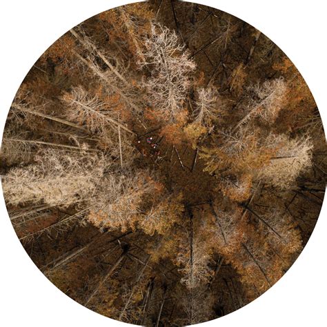 Nw Casc Connections Newsletter Northwest Climate Adaptation Science