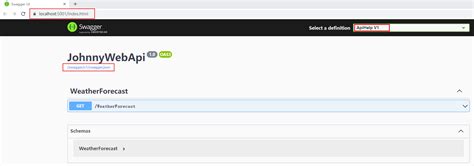 Core 60 Web Api And Swaggerui And Iis部署iis Swagger Webapi Csdn博客