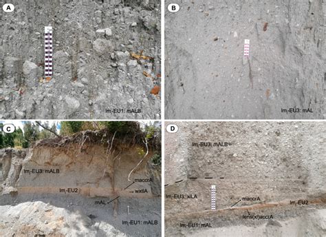 Typical Lithofacies Associations Of Pyroclastic Density Current