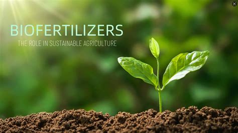 Biofertilizers China Leading Manufacturer Of Fertilizer Granulator Machine China Emcc