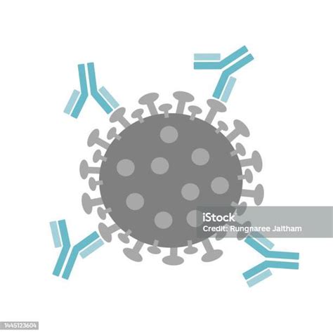 코로나바이러스 분자의 아이콘 개념 Sarscov2 또는 다른 유형의 바이러스는 특정 병원체를 중화하기 위해 중화 항체와 결합되었습니다 항체에 대한 스톡 벡터 아트 및 기타