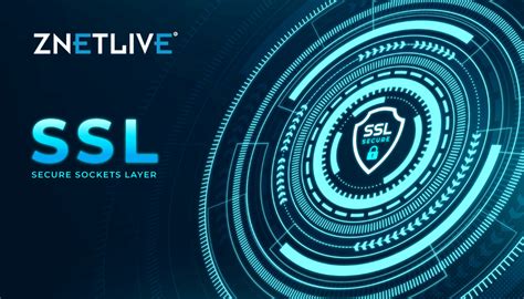 Free SSL Vs Paid SSL Certificate Know The Difference