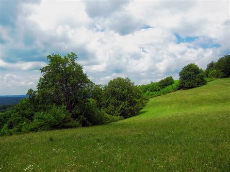 Free Images Landscape Tree Nature Forest Grass Cloud Sky Field