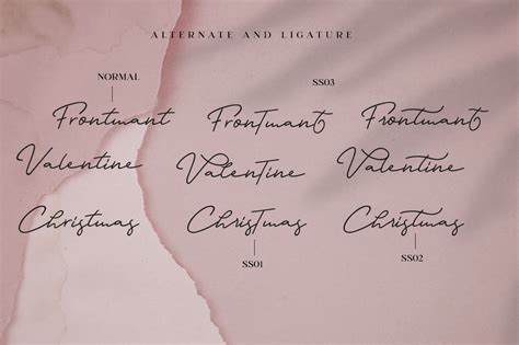 Orlando Signature Free Script Font Pixel Surplus