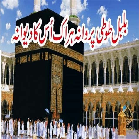 Bulbul Tooti Parwana Har Ek Us Ka Deewana Muhammad Owais Raza Qadri