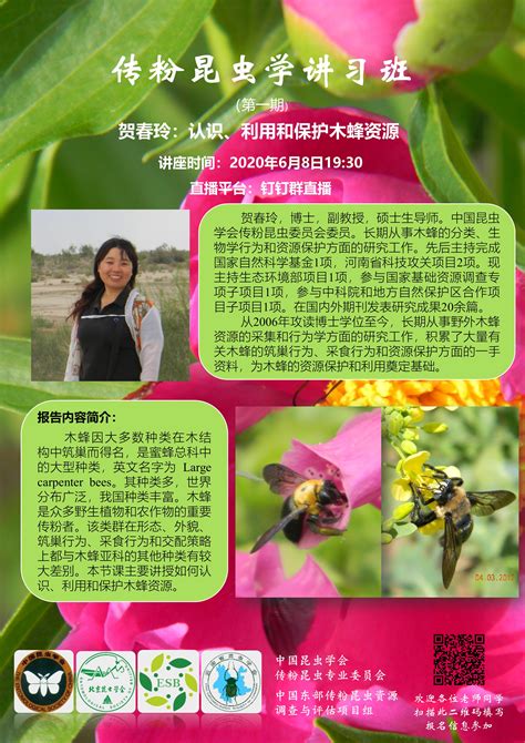 科学网中国昆虫学会传粉昆虫学讲习班第一期 贺春玲副教授 朱朝东的博文