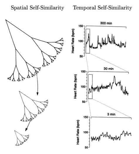 Fractal Music The Ethan Hein Blog