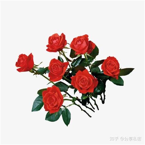 性生活时阴蒂疼痛是怎么回事 知乎