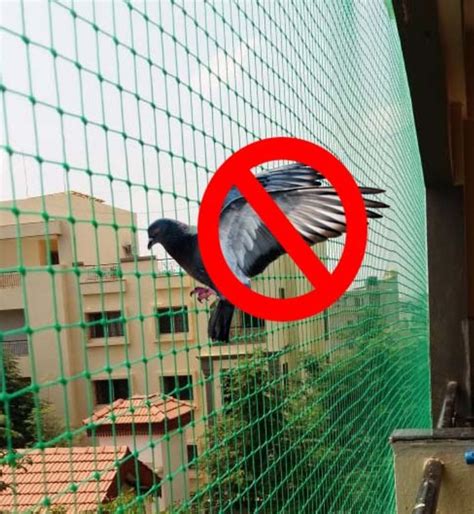 Pigeon Safety Nets For Balconies In Bangalore Pigeon Nets Fixing