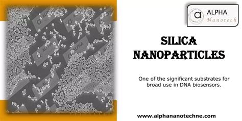 Ppt Silica Nanoparticles Powerpoint Presentation Free Download Id 11745120