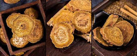 Da Huang Da Huang Herb And Da Huang Mu Dan Tang For Sale Native Chinese