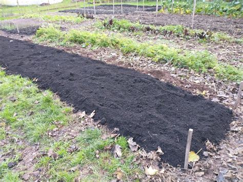 Veg Plot 2021 Yet More Compost Uk