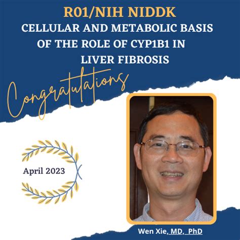 Dr Wen Xie Acquires New Nih Niddk R01 Funding Pittsburgh Liver Research Center