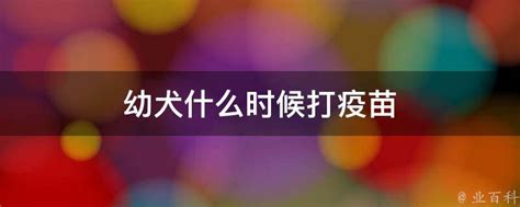幼犬什么时候打疫苗 业百科