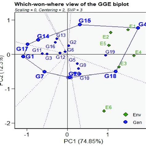 A Which Won Where Biplot Based On Grain Yield Of 20 Wheat Genotypes