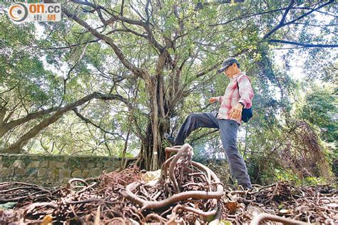 團體倡置富山谷作生態公園 東方日報