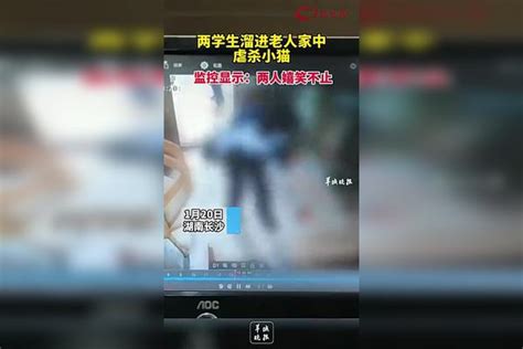 两学生溜进老人家中虐杀小猫，监控显示：两人嬉笑不止小猫监控老人