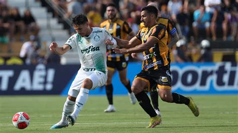 Assista Aos Gols E Melhores Momentos De Novorizontino 1 X 1 Palmeiras
