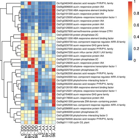 Detailed Expression Profiles Of Genes Related To Plant Hormone Signal